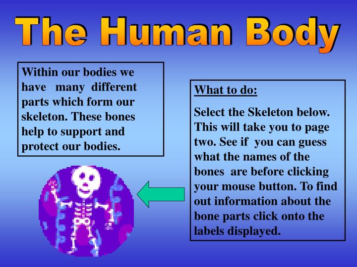 Ppt The Human Body Powerpoint Presentation Free Download Id 412625