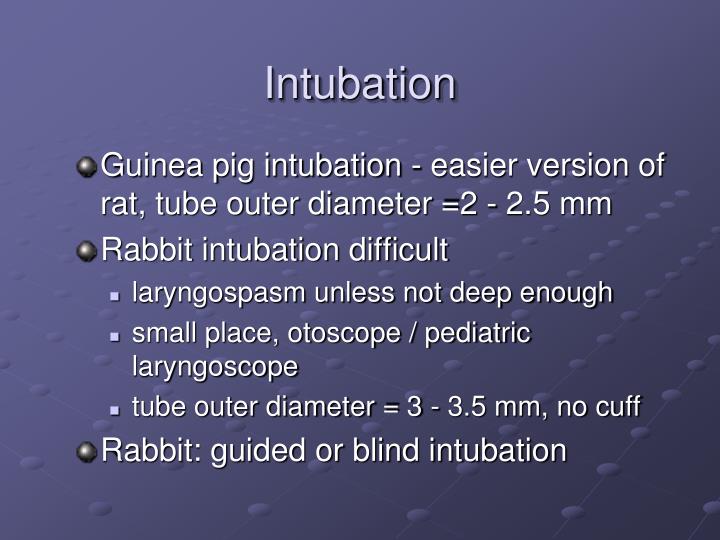 PPT - Anaesthesia of laboratory animals PowerPoint Presentation - ID:41286