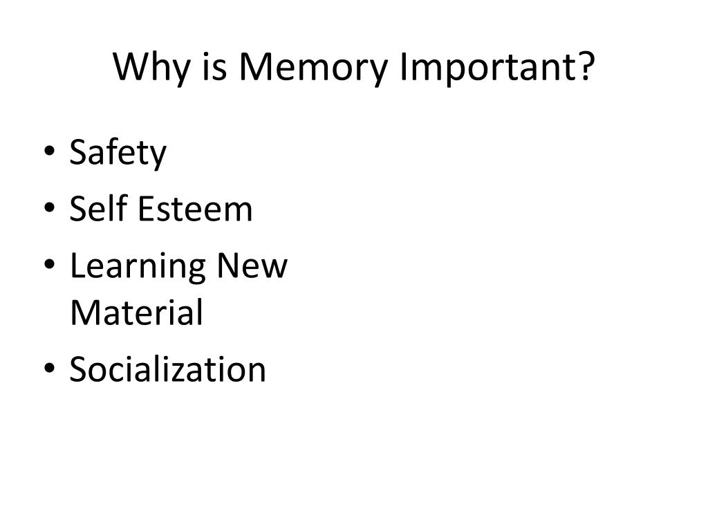 PPT - “Welcome to my World” Living daily life with a Traumatic Brain ...
