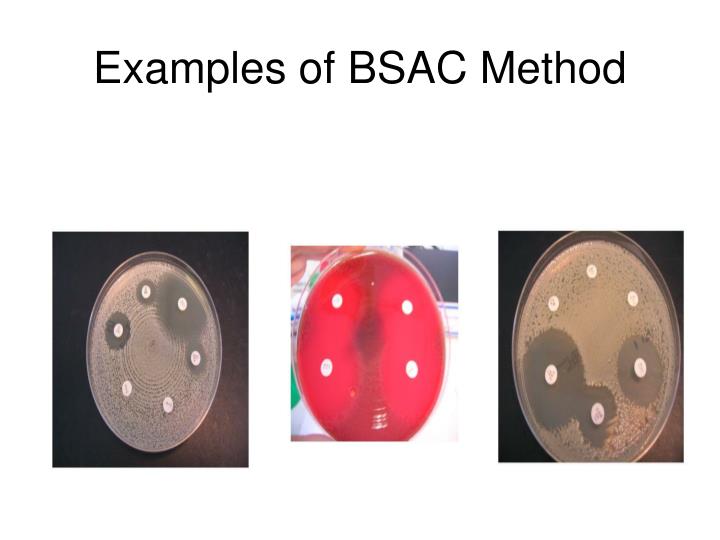 PPT - Laboratory Aspects of Antimicrobial Chemotherapy PowerPoint ...
