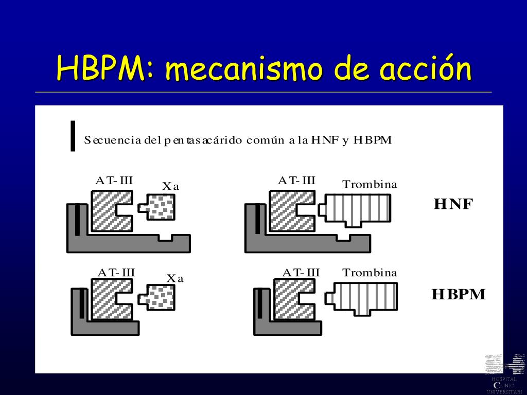 PPT - Heparines de baix pes mol.lecular i anestésia PowerPoint ...