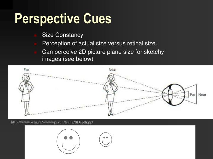 PPT - Depth Perception and Visualization PowerPoint Presentation - ID ...