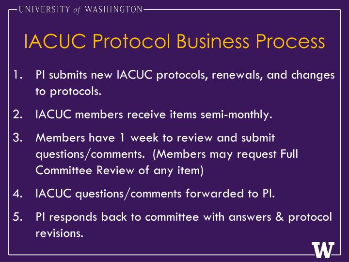 PPT - Creating Successful Research Projects: Navigating the Process ...