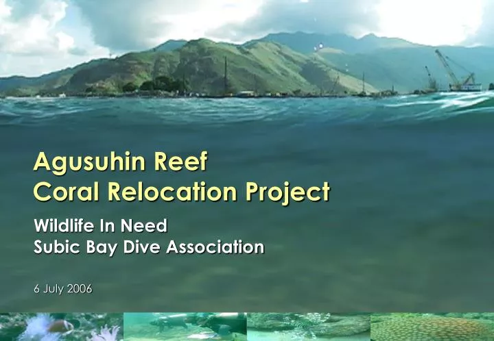 PPT - Agusuhin Reef Coral Relocation Project PowerPoint Presentation ...