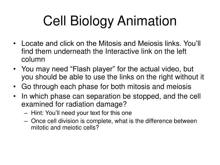 PPT - Interactive Biology and Radiation Biology Program PowerPoint ...