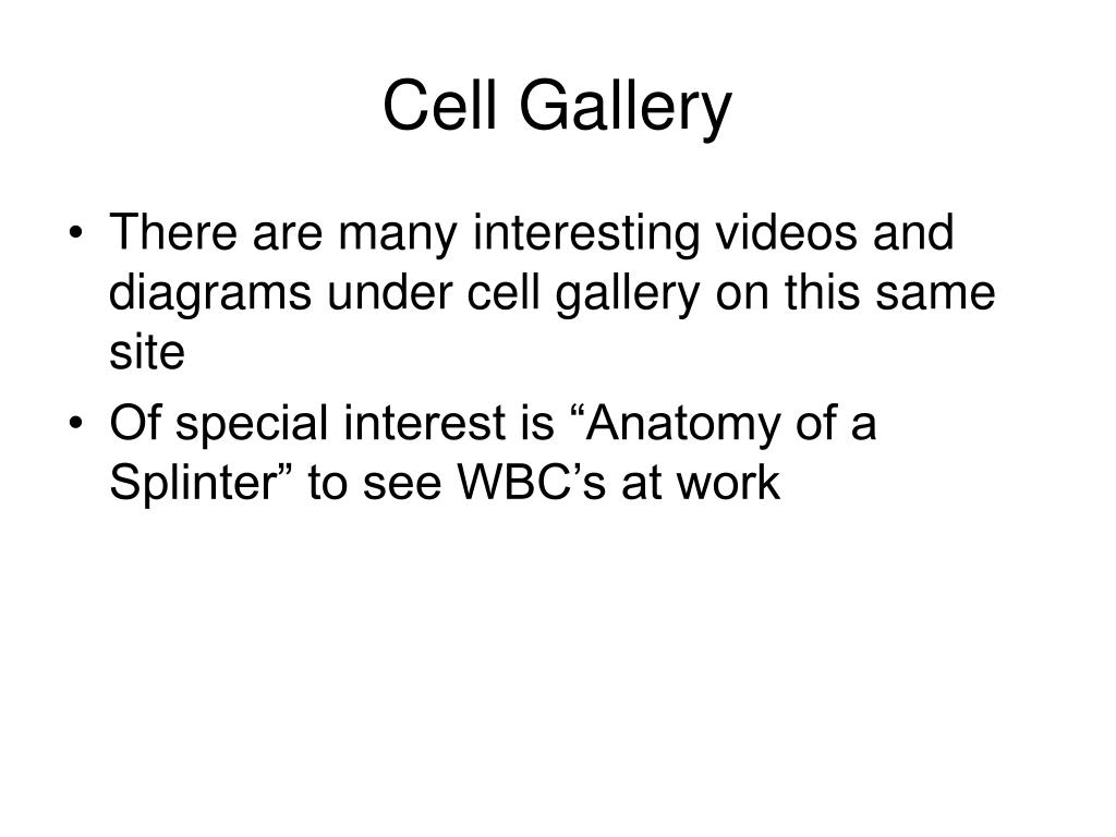 PPT - Interactive Biology and Radiation Biology Program PowerPoint ...
