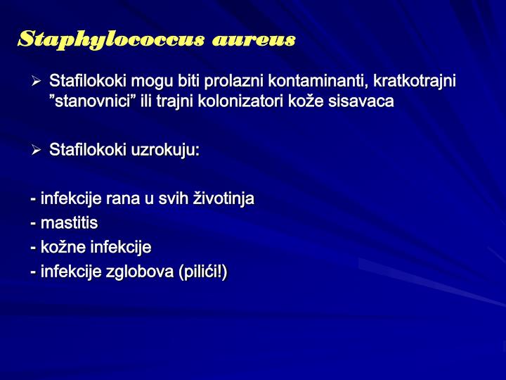 PPT - BAKTERIJSKI UZROČNICI MASTITISA KRAVA PowerPoint Presentation ...