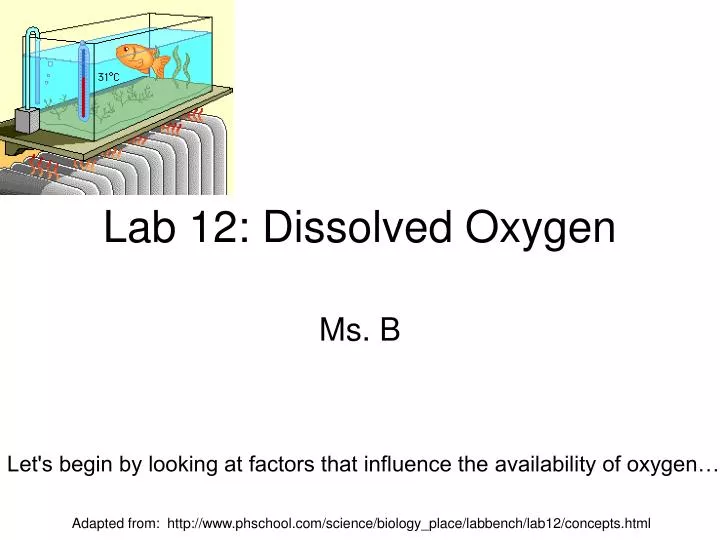 PPT - Lab 12: Dissolved Oxygen PowerPoint Presentation, free download ...