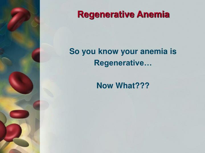 PPT - Practical Hematology Blood Loss Anemia PowerPoint Presentation ...