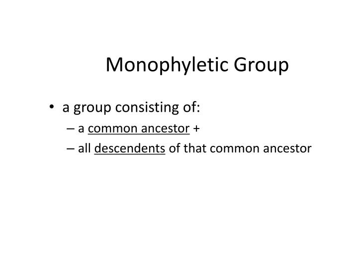 PPT - Lecture 4: Phylogeny and the Tree of Life Campbell & Reece ...