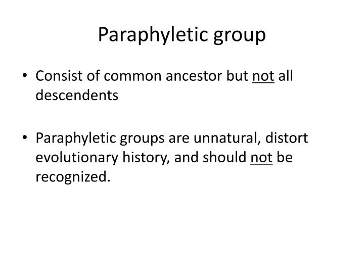 PPT - Lecture 4: Phylogeny and the Tree of Life Campbell & Reece ...