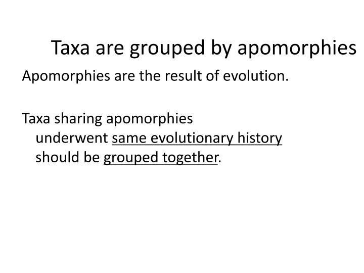 PPT - Lecture 4: Phylogeny and the Tree of Life Campbell & Reece ...