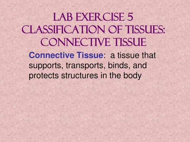 PPT - Lab Exercise 5 Classification of Tissues: Connective Tissue ...
