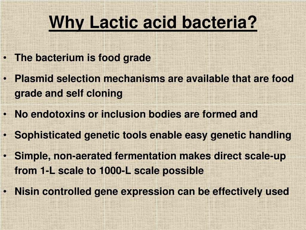 Ppt Nutraceuticals An Emerging Field For Metabolic Engineering Of Lactic Acid Bacteria