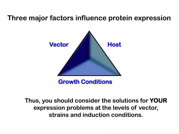 PPT - Three major factors influence protein expression PowerPoint ...