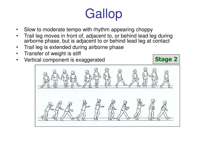 PPT - Fundamental Movement Skills of Childhood PowerPoint Presentation ...