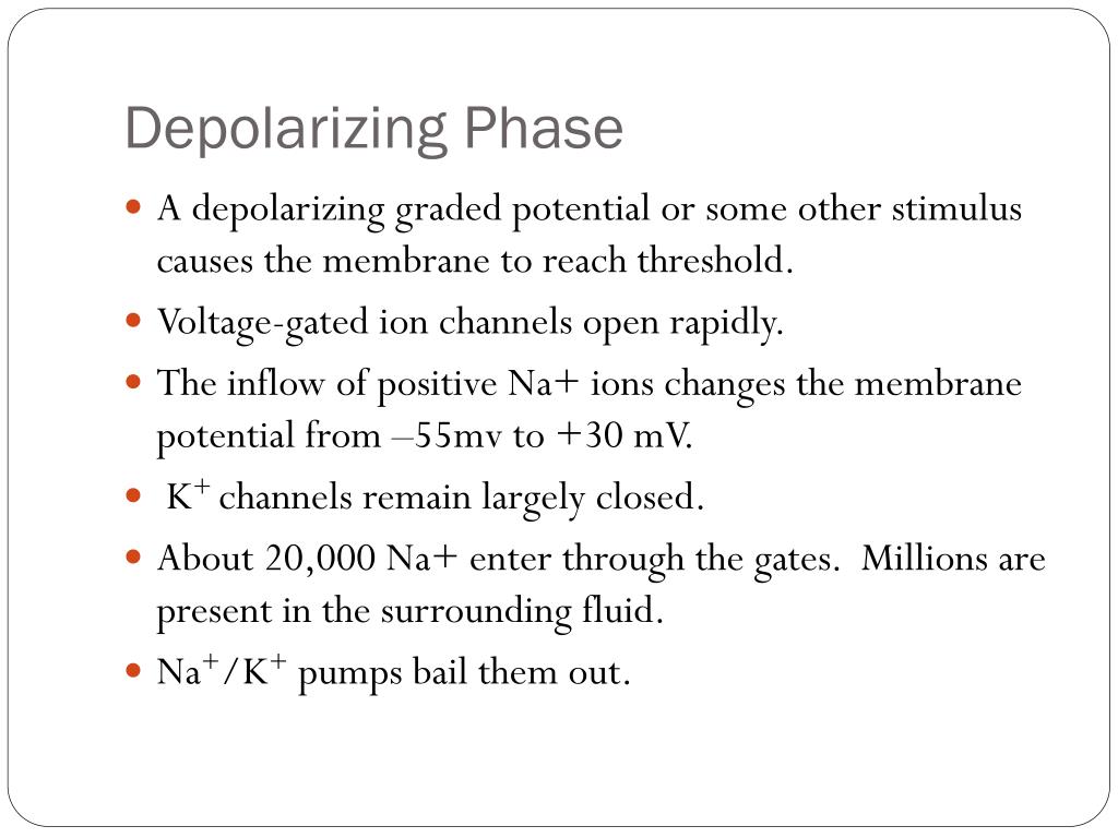 PPT - Membrane Transport and Membrane Potentials PowerPoint ...