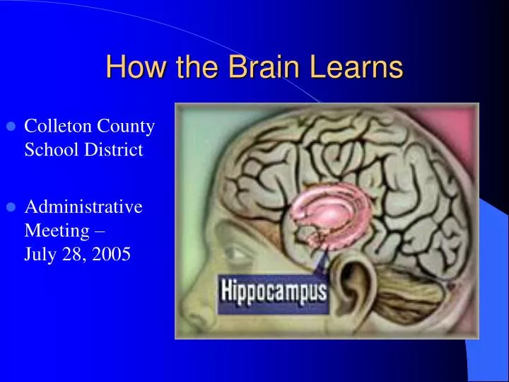 PPT - How the Brain Learns PowerPoint Presentation, free download - ID ...