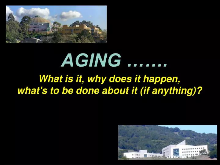 PPT - AGING ……. PowerPoint Presentation, free download - ID:421017