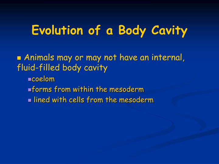 PPT - INTRODUCTION TO ANIMAL DIVERSITY PowerPoint Presentation - ID:421292