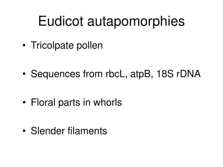 PPT - Angiosperm origins and relationships of major lineages PowerPoint ...