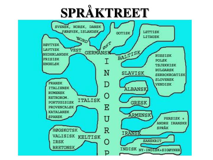 PPT - Språk i bevegelse kapittel 6, Neon studiebok PowerPoint Presentation - ID:422050