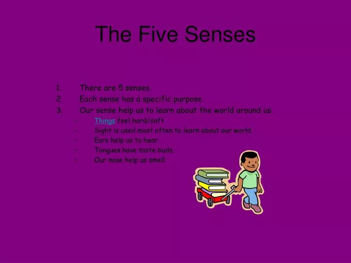 PPT - The Five Senses PowerPoint Presentation, free download - ID:423173