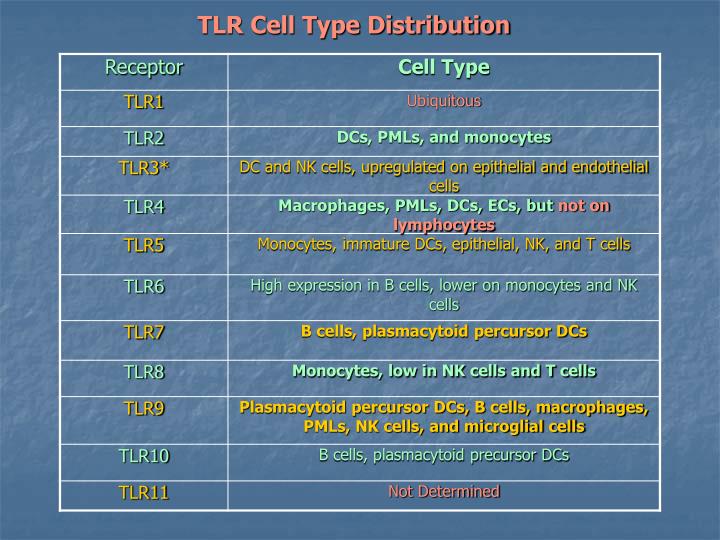 PPT - TOLL-LIKE RECEPTORS PowerPoint Presentation - ID:424130