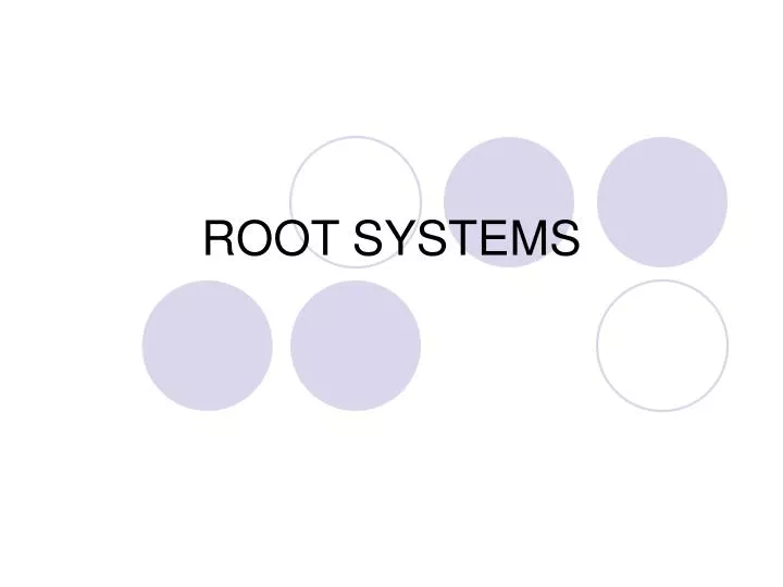 PPT - ROOT SYSTEMS PowerPoint Presentation, free download - ID:424995