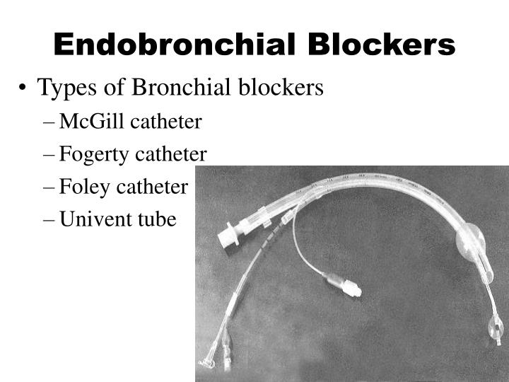 PPT - Thoracic Anatomy & Physiology A Simple Review PowerPoint ...