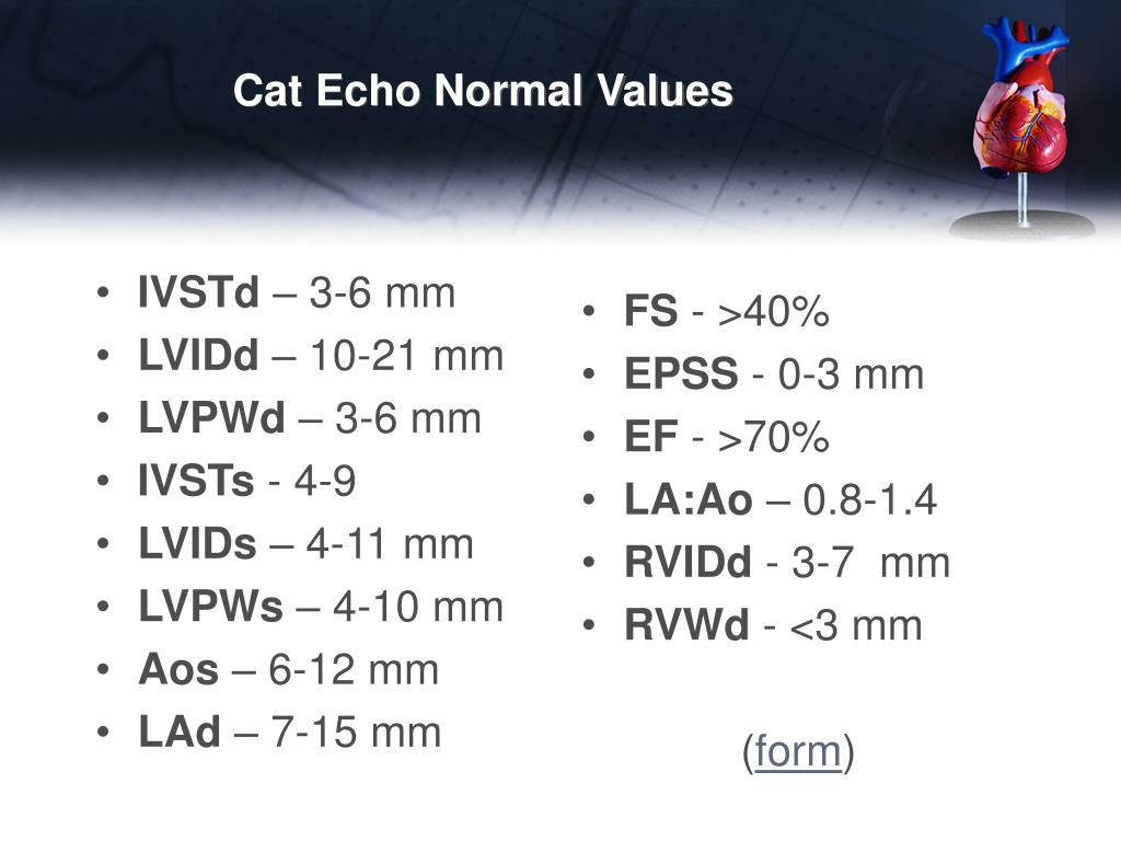 PPT Basic Echocardiography PowerPoint Presentation Free Download