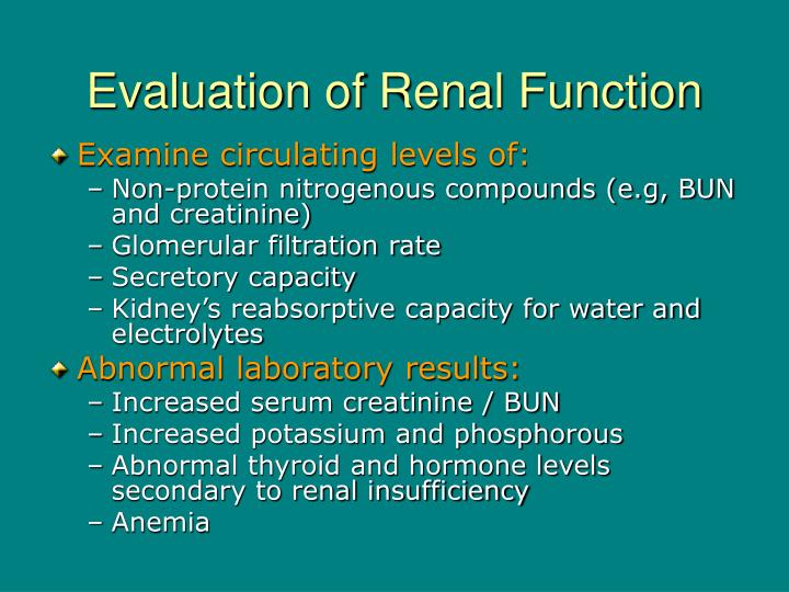 PPT - A Case Study about Chronic Renal Disease by Michelle LeBlanc ...