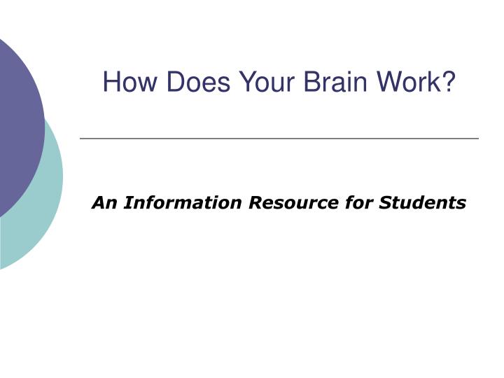 PPT - How Does Your Brain Work? PowerPoint Presentation, free download ...