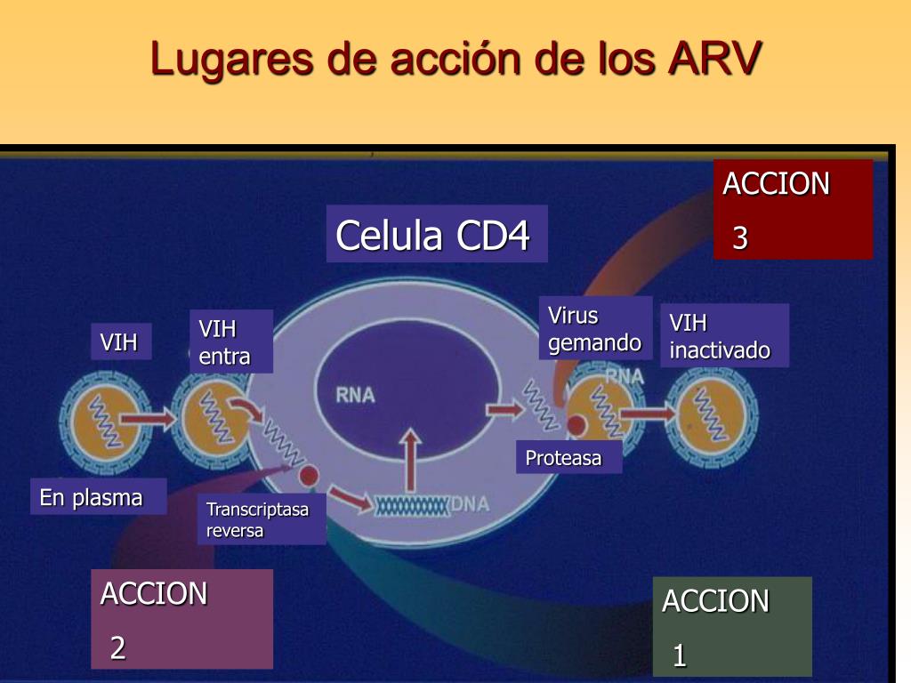 PPT - Terapia Antiretroviral en pacientes adultos con Infecci ó n VIH ...