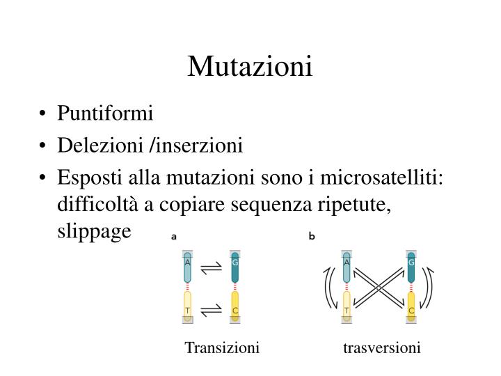 PPT - DNA: riparazione e ricombinazione PowerPoint Presentation - ID:428205