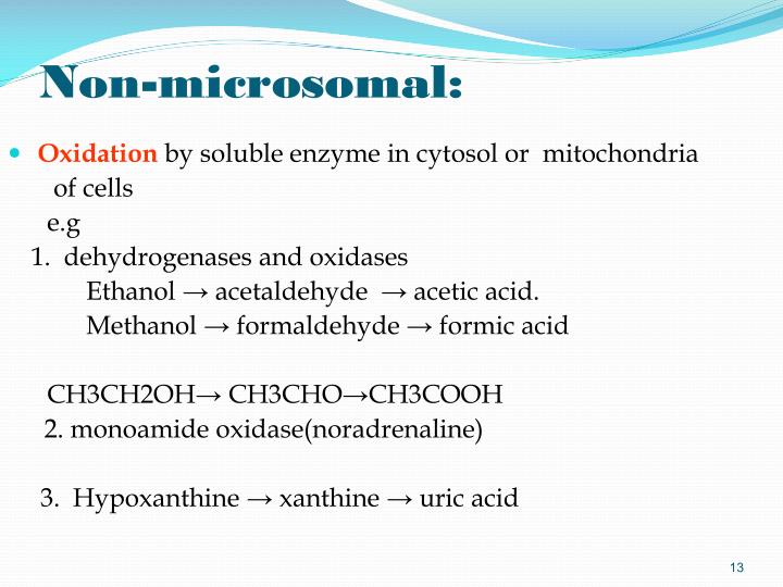PPT - Drug Metabolism PowerPoint Presentation - ID:428275