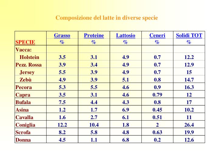 PPT - IL LATTE PowerPoint Presentation - ID:428338