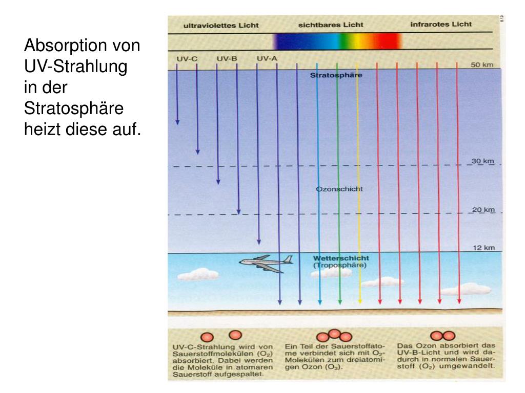 PPT - Zusammensetzung der ausgeatmeten Luft PowerPoint Presentation, free download - ID:430773
