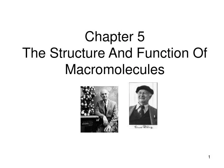 Ppt Chapter 5 The Structure And Function Of Macromolecules Powerpoint Presentation Id 431158