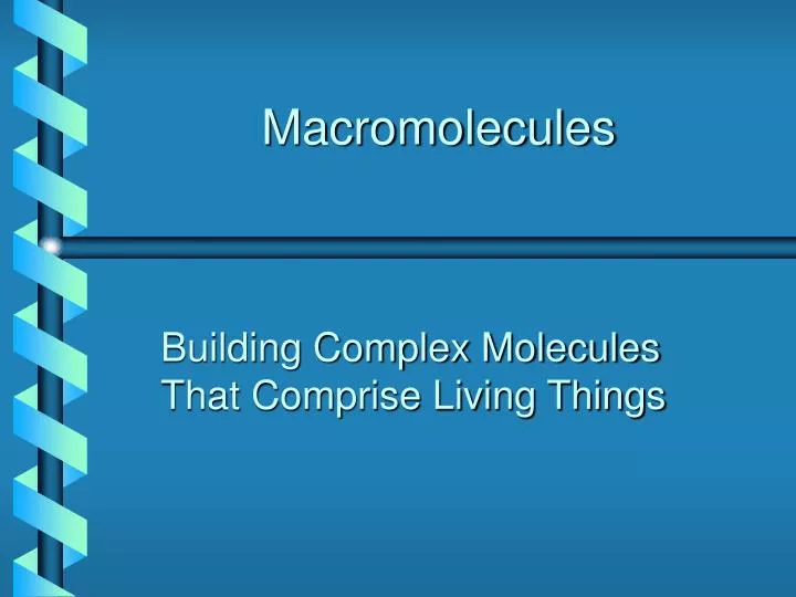 PPT - Macromolecules PowerPoint Presentation, free download - ID:431786