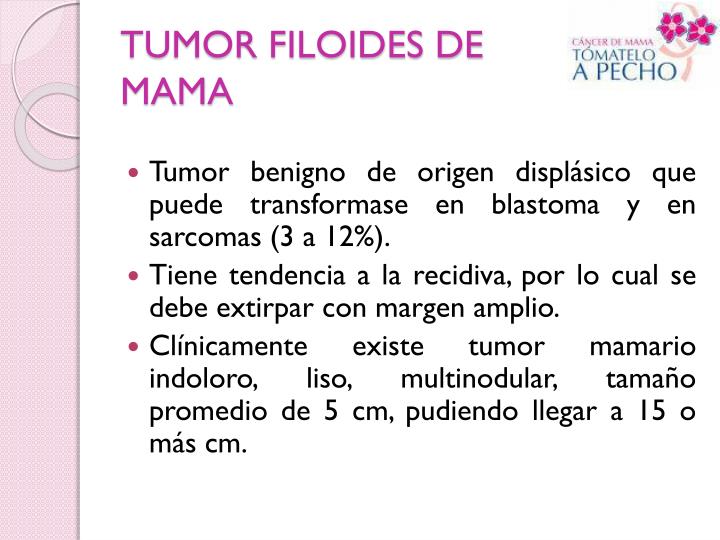PPT - DISPLASIAS BENIGNAS DE MAMA Y CÁNCER DE MAMA PowerPoint ...