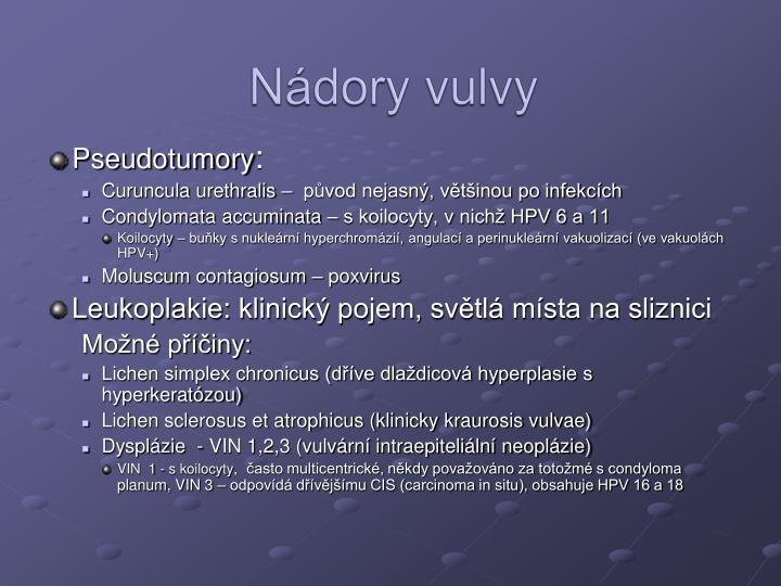 PPT - Gynekopatologie PowerPoint Presentation - ID:433081
