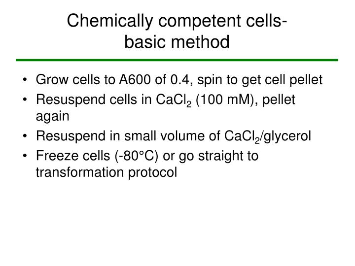 PPT - Enzymes for manipulating DNA PowerPoint Presentation - ID:433121