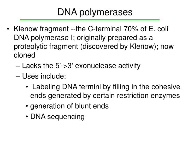 PPT - Enzymes for manipulating DNA PowerPoint Presentation - ID:433121