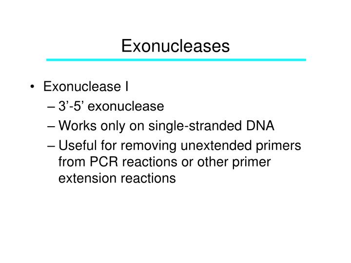 PPT - Enzymes for manipulating DNA PowerPoint Presentation - ID:433121