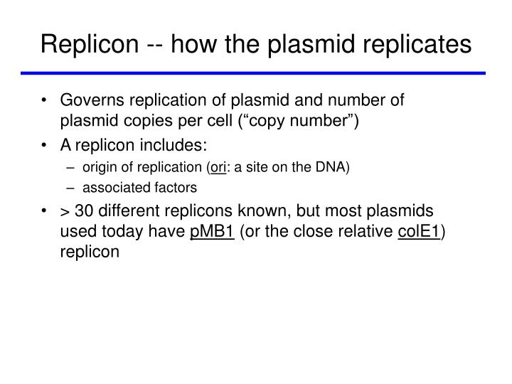 PPT - Enzymes for manipulating DNA PowerPoint Presentation - ID:433121