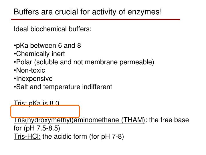 PPT - Enzymes for manipulating DNA PowerPoint Presentation - ID:433121