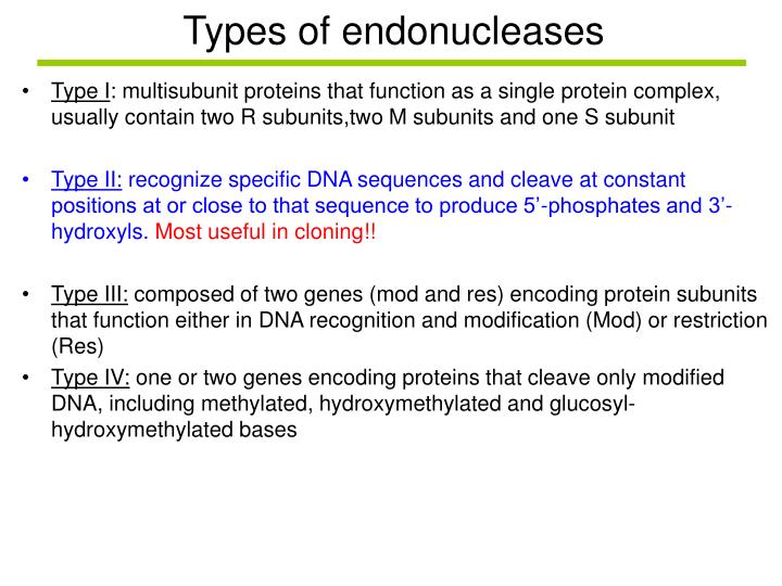 PPT - Enzymes for manipulating DNA PowerPoint Presentation - ID:433121