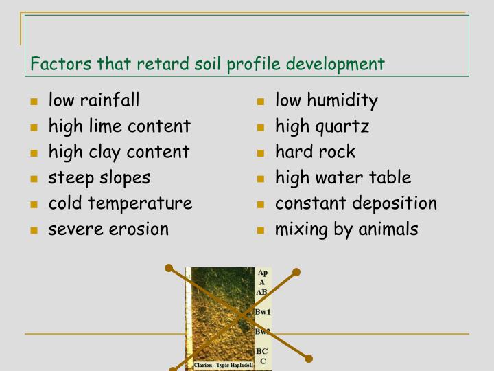 PPT - Lecture 4b Soil Forming Factors PowerPoint Presentation - ID:433800