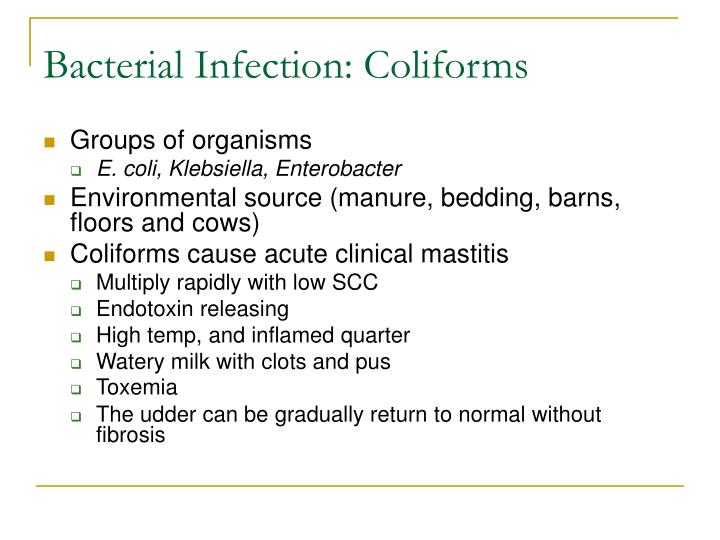 PPT - Bovine Mastitis PowerPoint Presentation - ID:434466